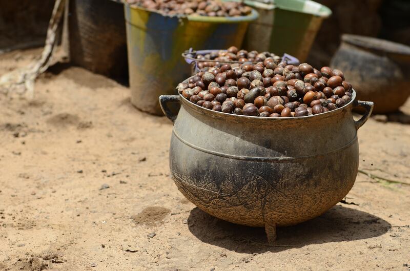 The Struggle to Save Africa’s Shea Butter Industry | BoF